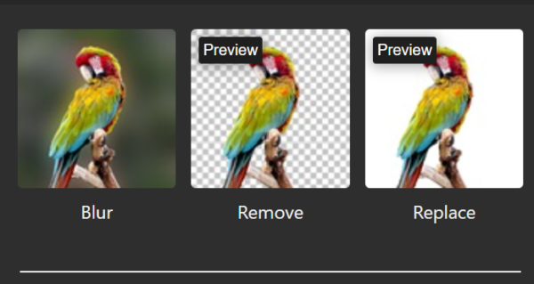 How To Remove The Background From An Image In Windows | CaSupport